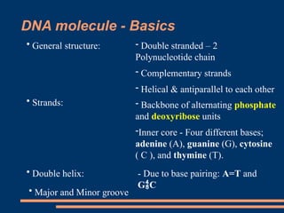 NUCLEIC ACID-DNA STRUCTURE AND Central dogma of molecular biology.pptx