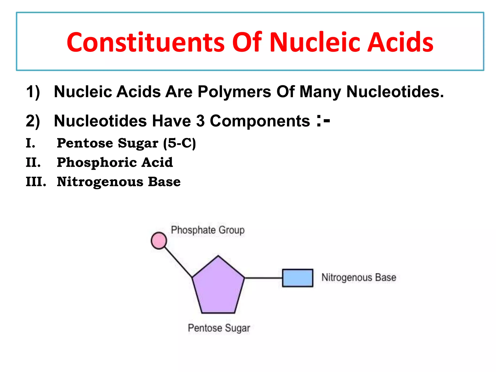 Nucleic acid_Power Point Presentation - By RJ | PPT