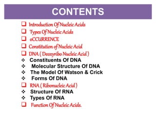 Nucleic acid_Power Point Presentation - By RJ | PPT