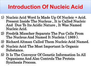 Nucleic acid_Power Point Presentation - By RJ | PPT
