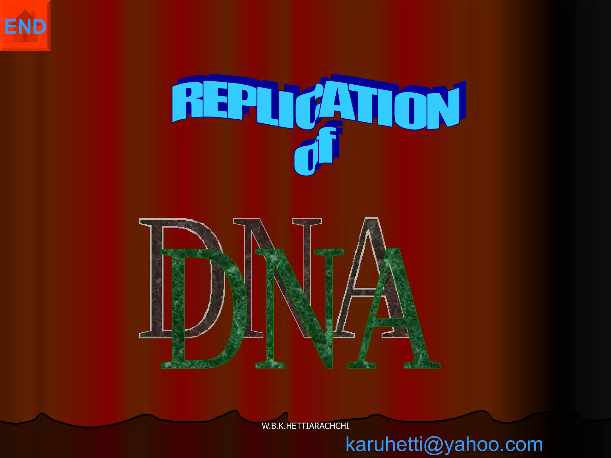 Nucleic Acid Replication English Version | PPT