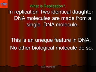 Nucleic Acid Replication English Version | PPT