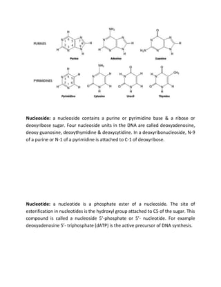 Nucleic acid 1 | DOCX