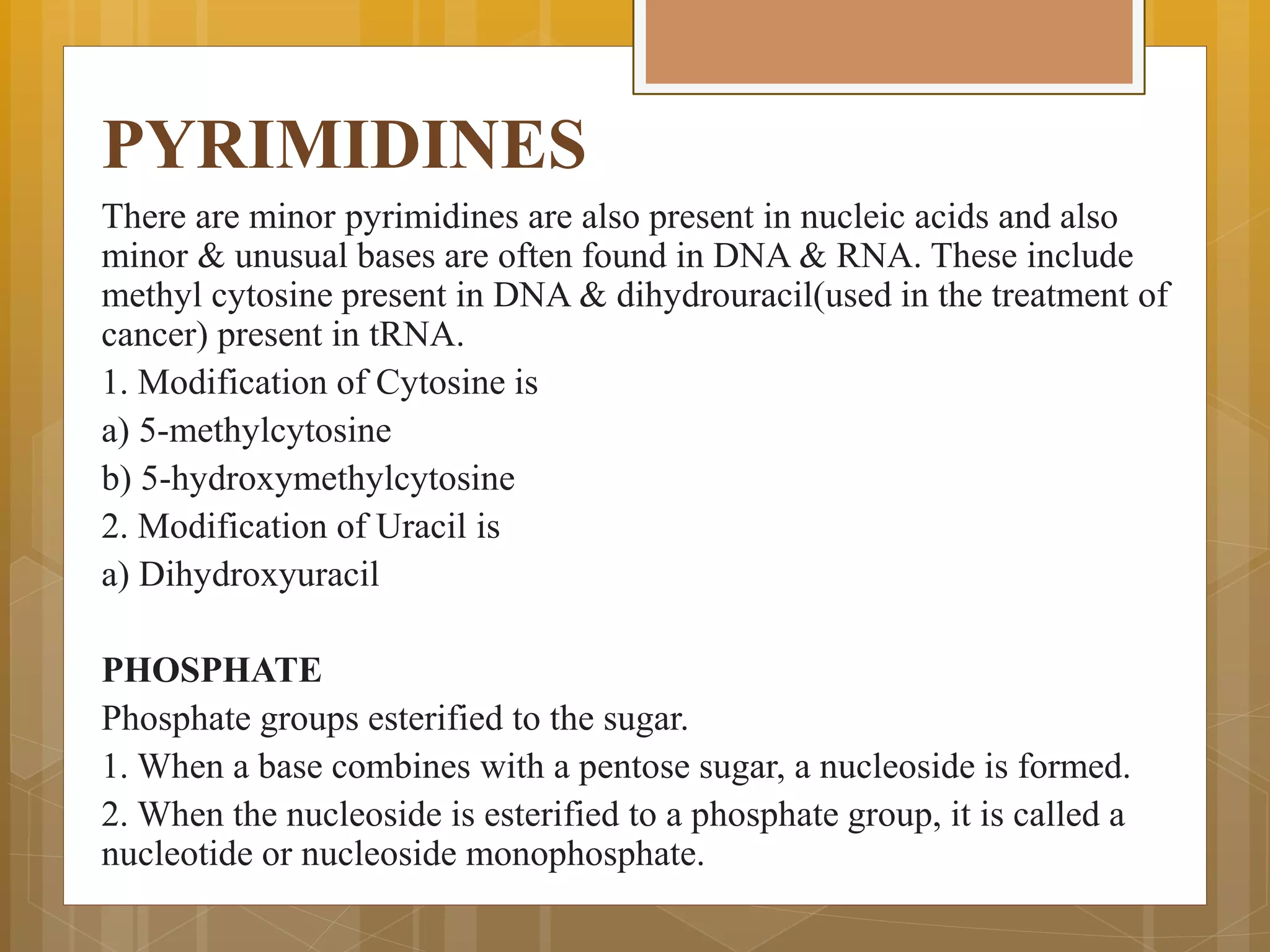 nucleic acid unit-5 biochemistry and clinical pathology, D.Pharm 2nd ...