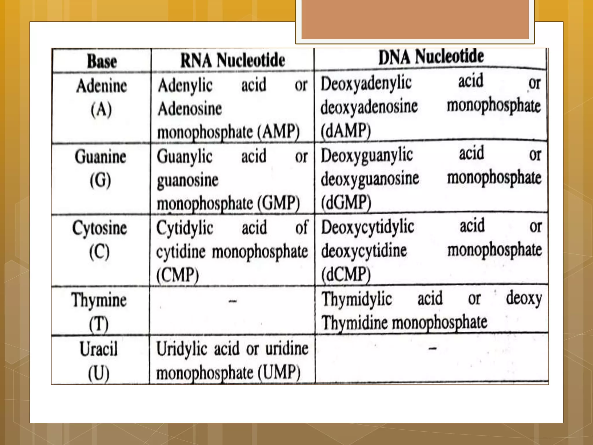 nucleic acid unit-5 biochemistry and clinical pathology, D.Pharm 2nd ...