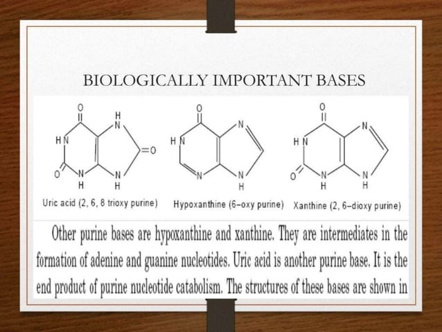 nucleic acid unit-5 biochemistry and clinical pathology, D.Pharm 2nd ...