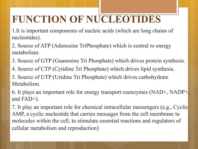 nucleic acid unit-5 biochemistry and clinical pathology, D.Pharm 2nd ...