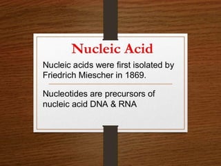 nucleic acid unit-5 biochemistry and clinical pathology, D.Pharm 2nd ...