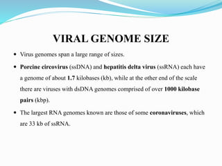 Nucleic acid and evolution of virus(5).pptx