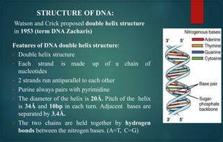 nucleic acid and its chemistry .pptx