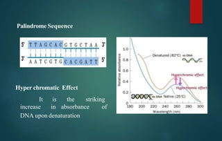 nucleic acid and its chemistry .pptx