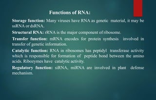 nucleic acid and its chemistry .pptx