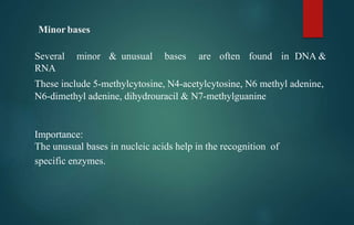 nucleic acid and its chemistry .pptx