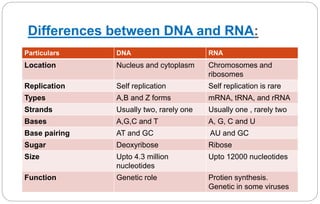 Nucleic acid and its chemistry, dna as genetic material | PPTX