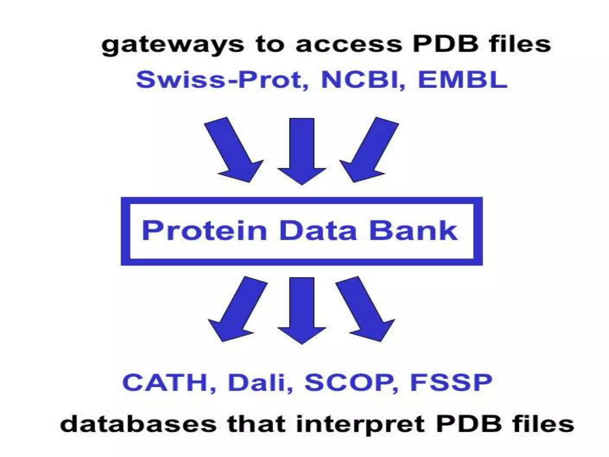 Nucleic acid and protein databanks | PPTX
