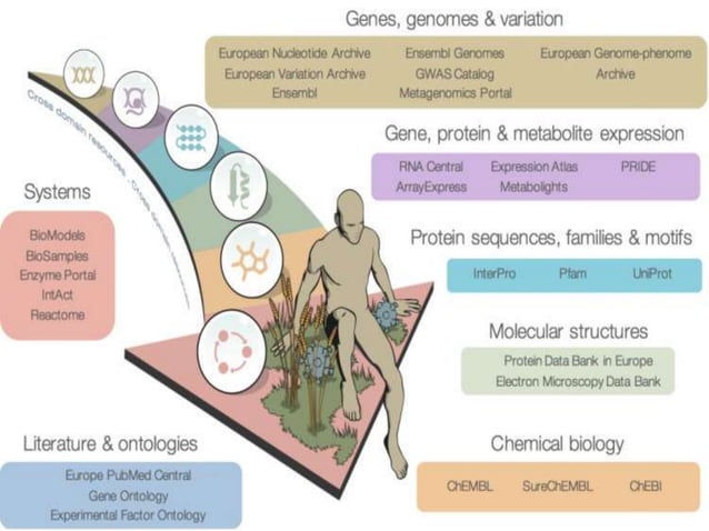 Nucleic acid and protein databanks | PPTX