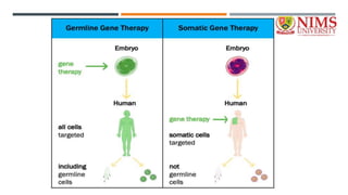 Nucleic Acid Based Therapeutic Delivery System.pptx