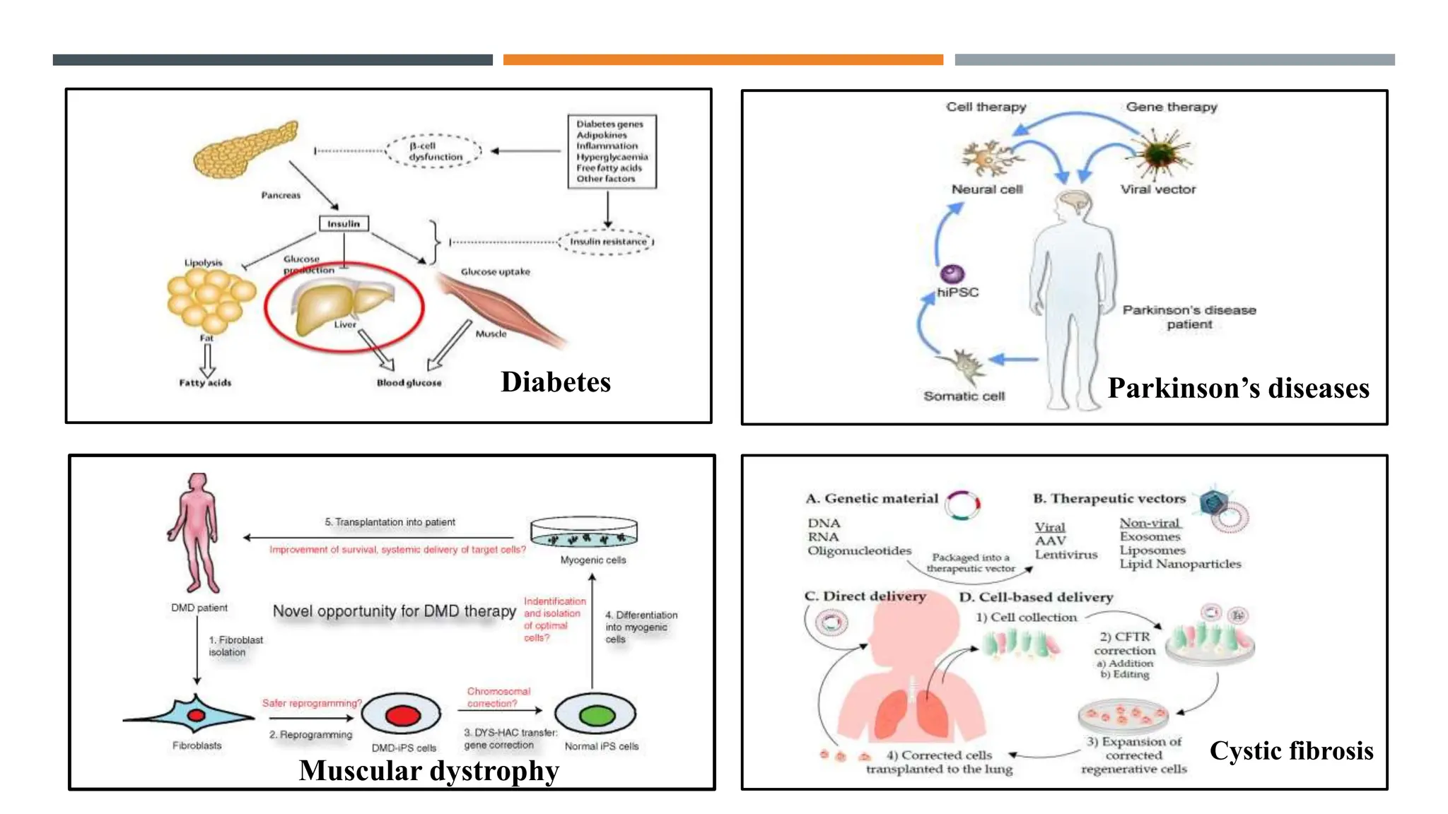 Nucleic Acid Based Therapeutic Delivery System.pptx