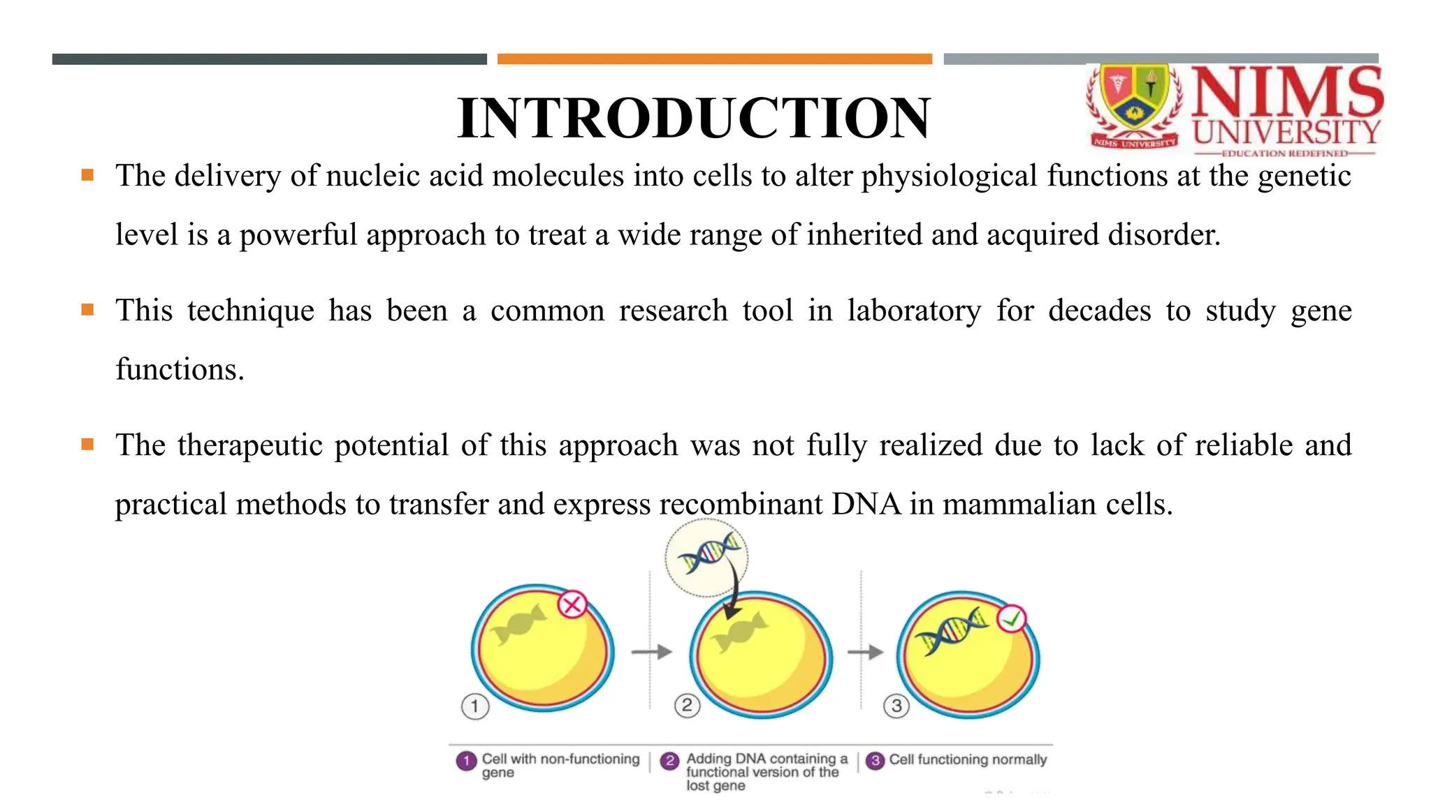 Nucleic Acid Based Therapeutic Delivery System.pptx