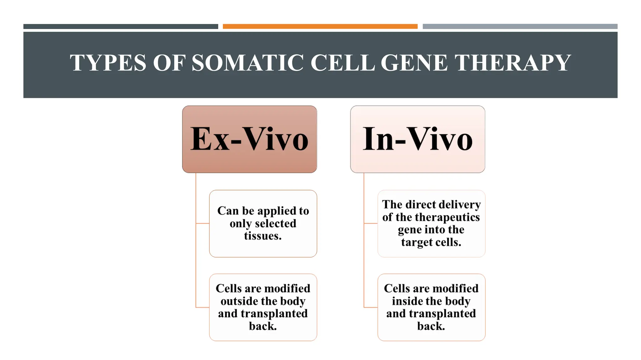 Nucleic Acid Based Therapeutic Delivery System.pptx