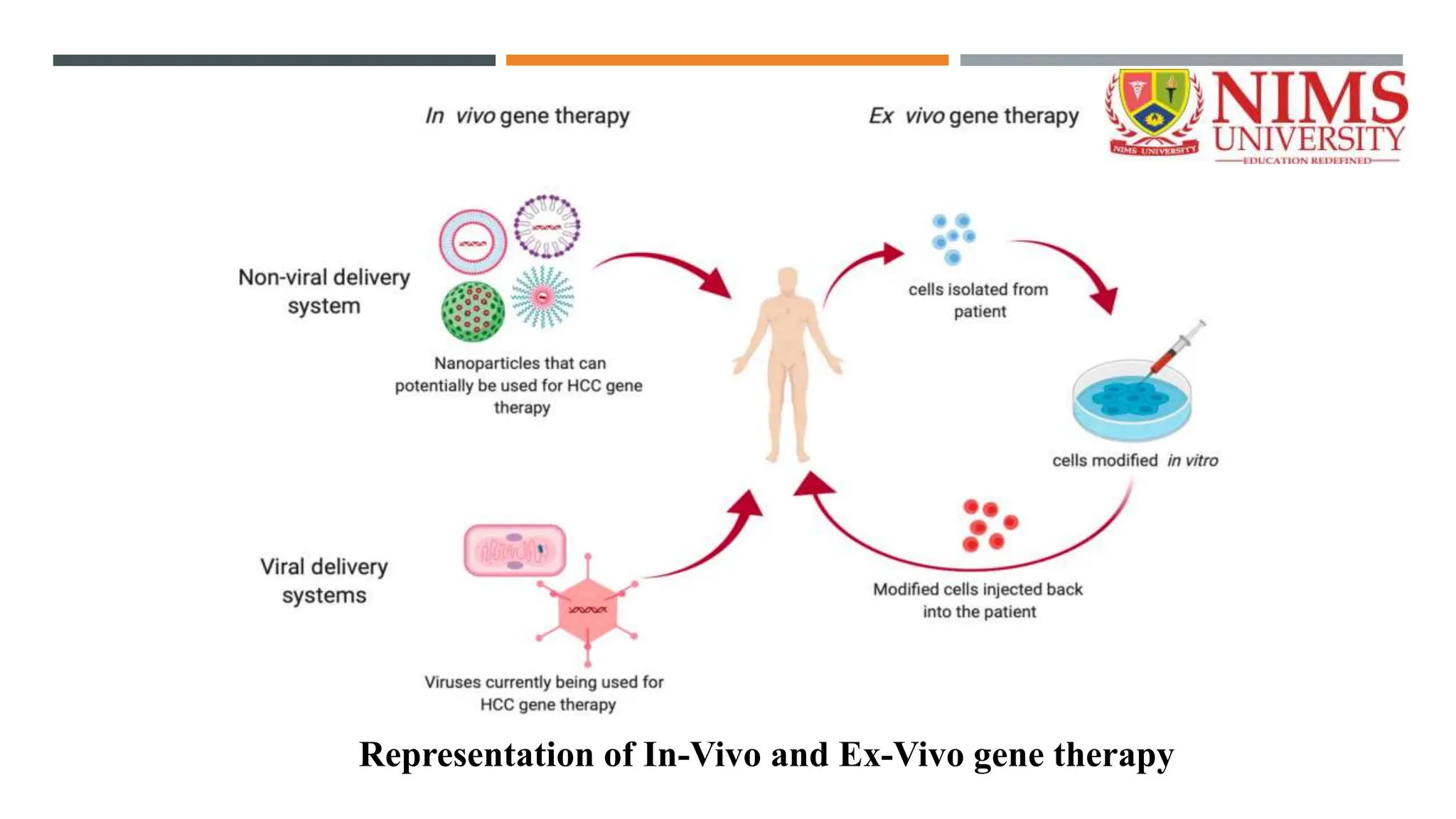 Nucleic Acid Based Therapeutic Delivery System.pptx