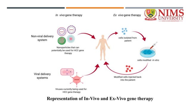 Nucleic Acid Based Therapeutic Delivery System.pptx | Genetics | Science