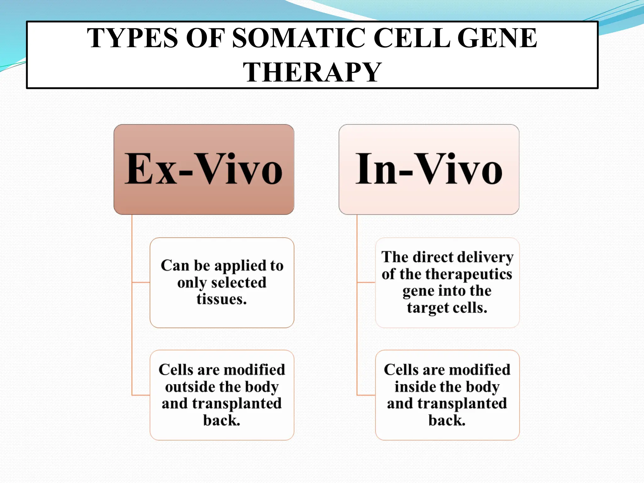 NUCLEIC ACID BASED THERAPEUTIC DELIVERY SYSTEM by pramesh..pptx