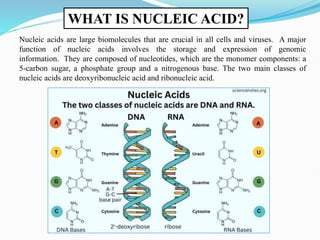 NUCLEIC ACID BASED THERAPEUTIC DELIVERY SYSTEM by pramesh..pptx