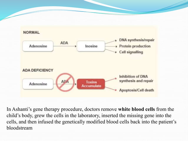 NUCLEIC ACID BASED THERAPEUTIC DELIVERY SYSTEM by pramesh..pptx
