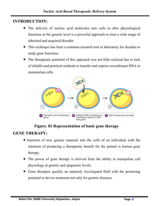 Nucleic Acid Based Therapeutics Delivery.pdf