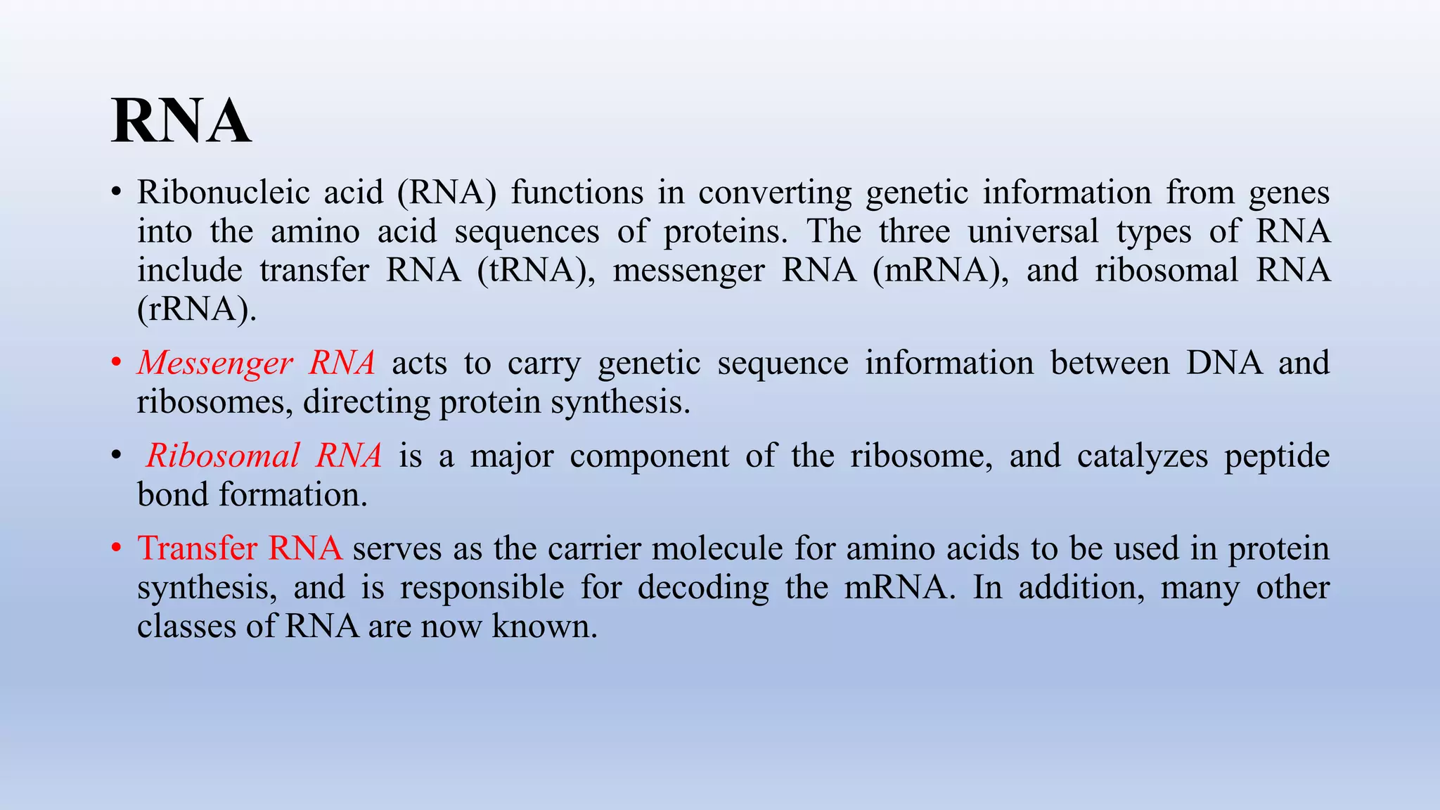 Nucleic acid biomolecule | PDF