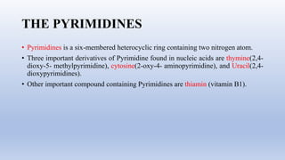 Nucleic acid biomolecule | PDF