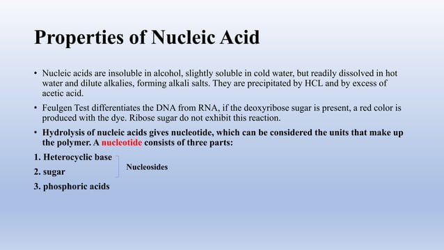Nucleic acid biomolecule | PDF | Chemistry | Science