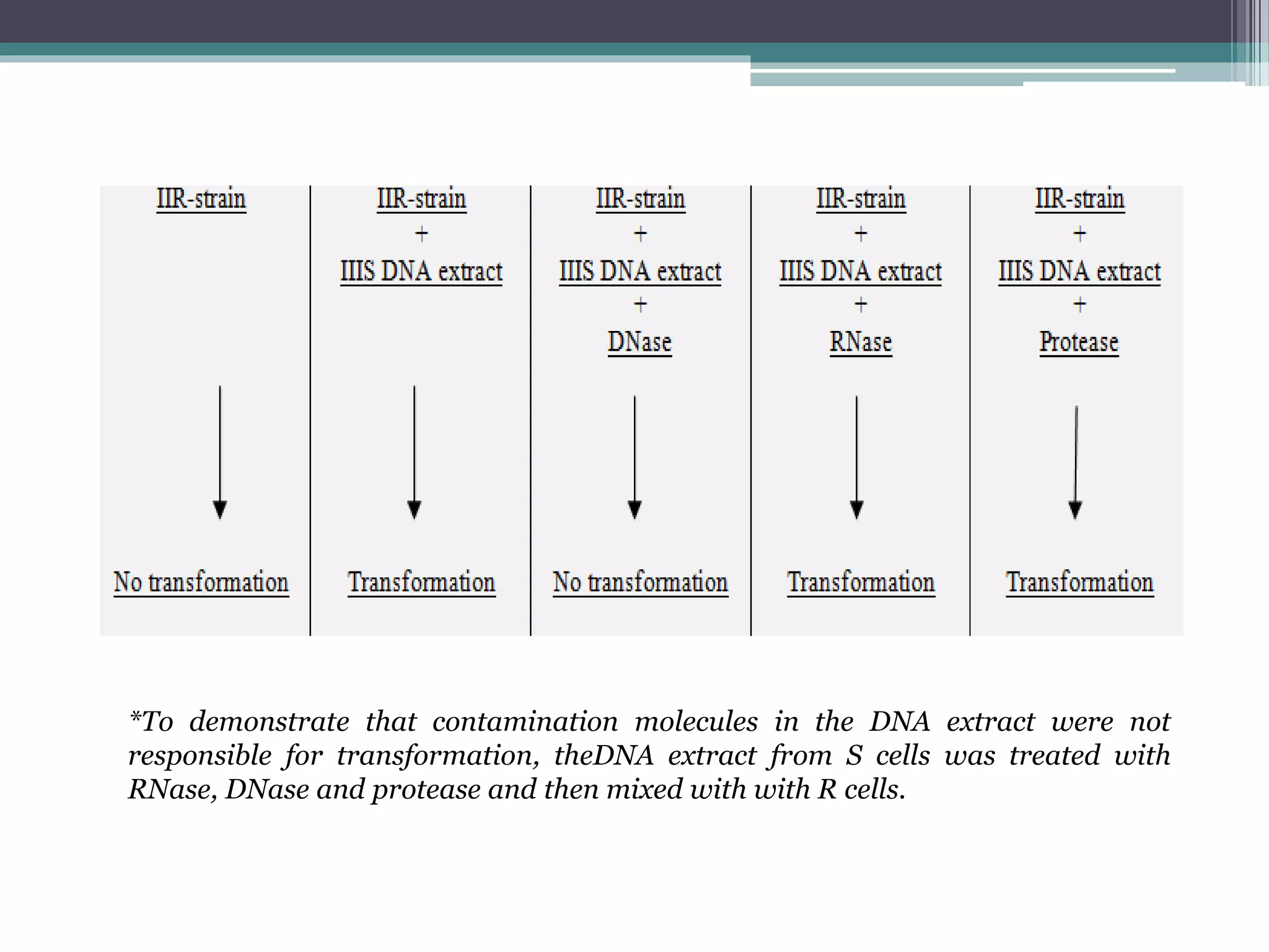 Nucleic acid carries genetic material part-1 | PPTX