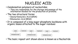 Nucleic Acid chemistry and biochemistry, | PDF