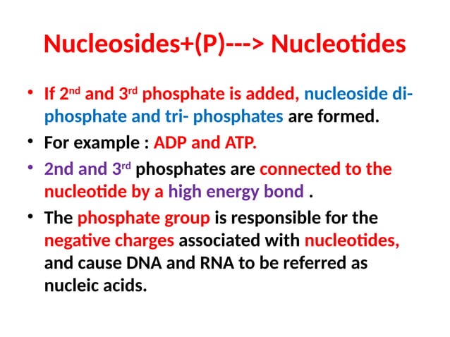 Nucleic acid chemo biochemistry mbbs.pptx