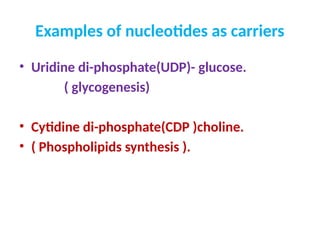 Nucleic acid chemo biochemistry mbbs.pptx