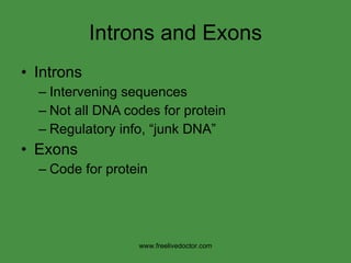 Nucleic Acid Chemistry | PPT | Genetics | Science
