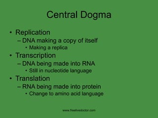 Nucleic Acid Chemistry | PPT | Genetics | Science