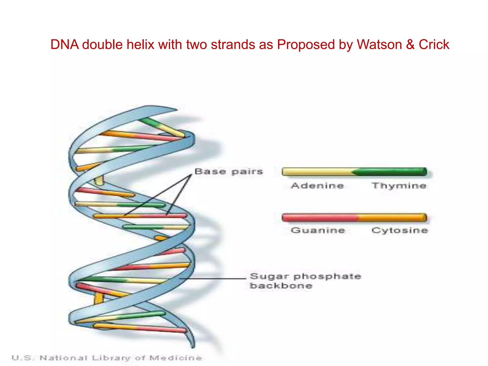nucleicacidchemistry-141016010348-conversion-gate02.pdf