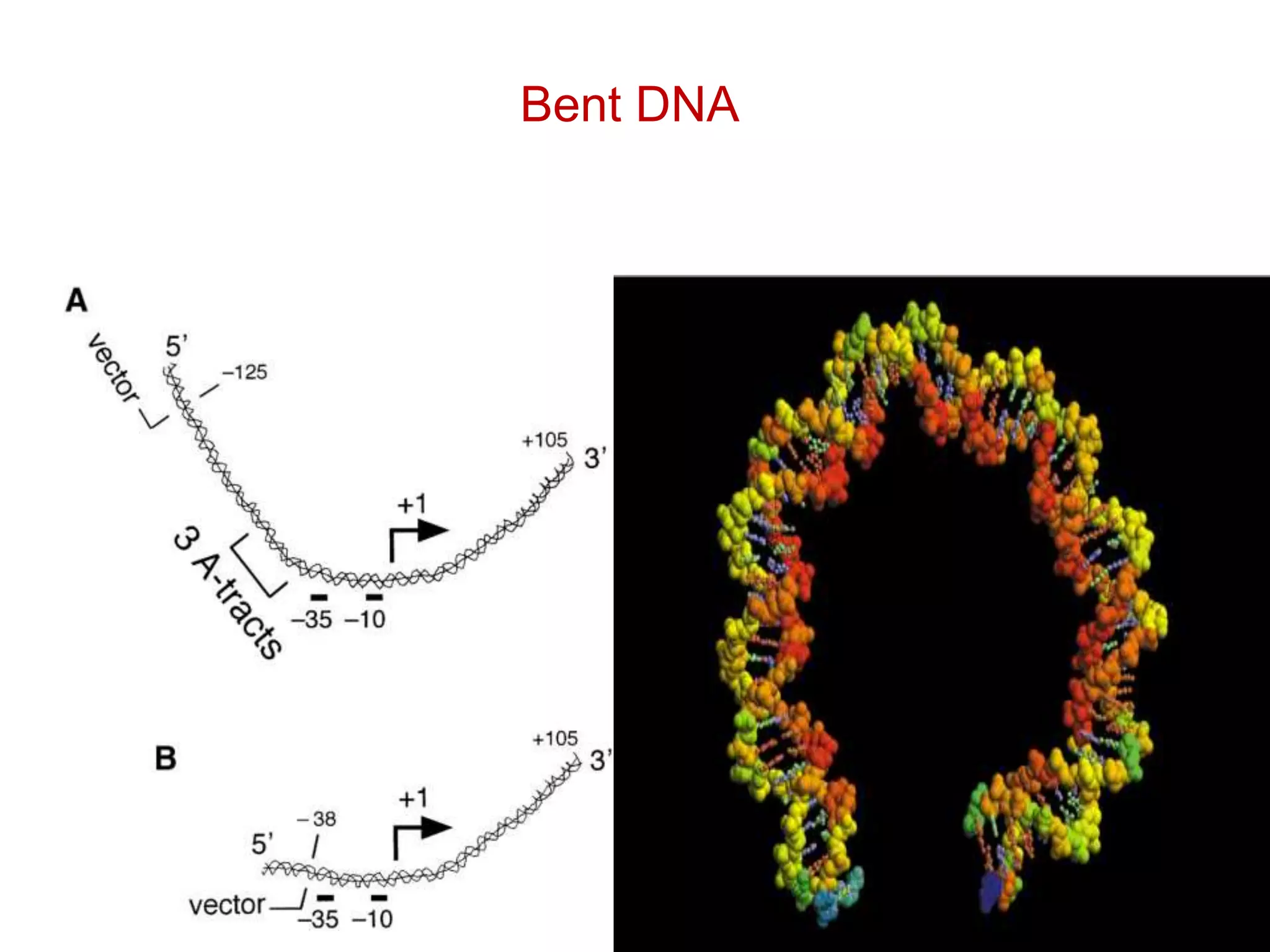 nucleicacidchemistry-141016010348-conversion-gate02.pdf