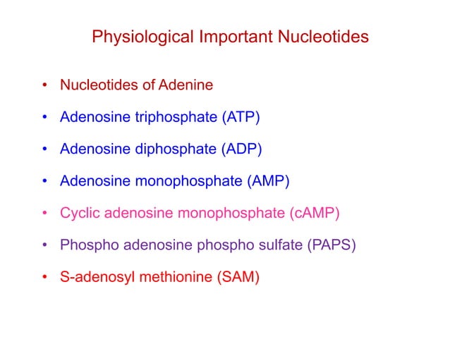 nucleicacidchemistry-141016010348-conversion-gate02.pdf
