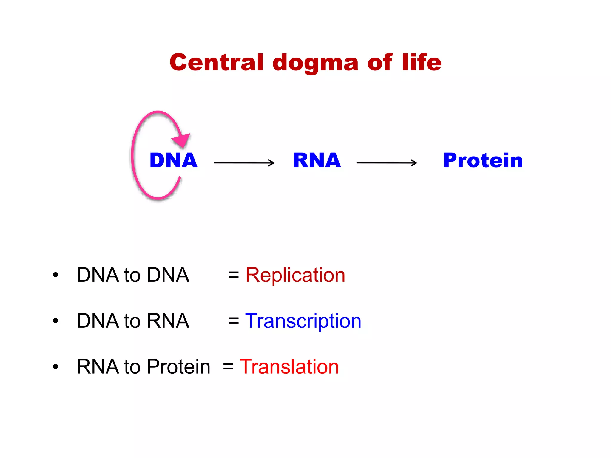 NUCLEIC ACID CHEMISTRY | PPTX