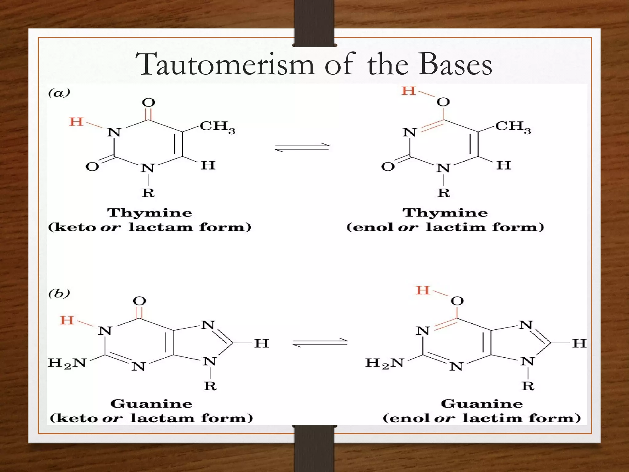 Nucleic acid chemistry | PPT