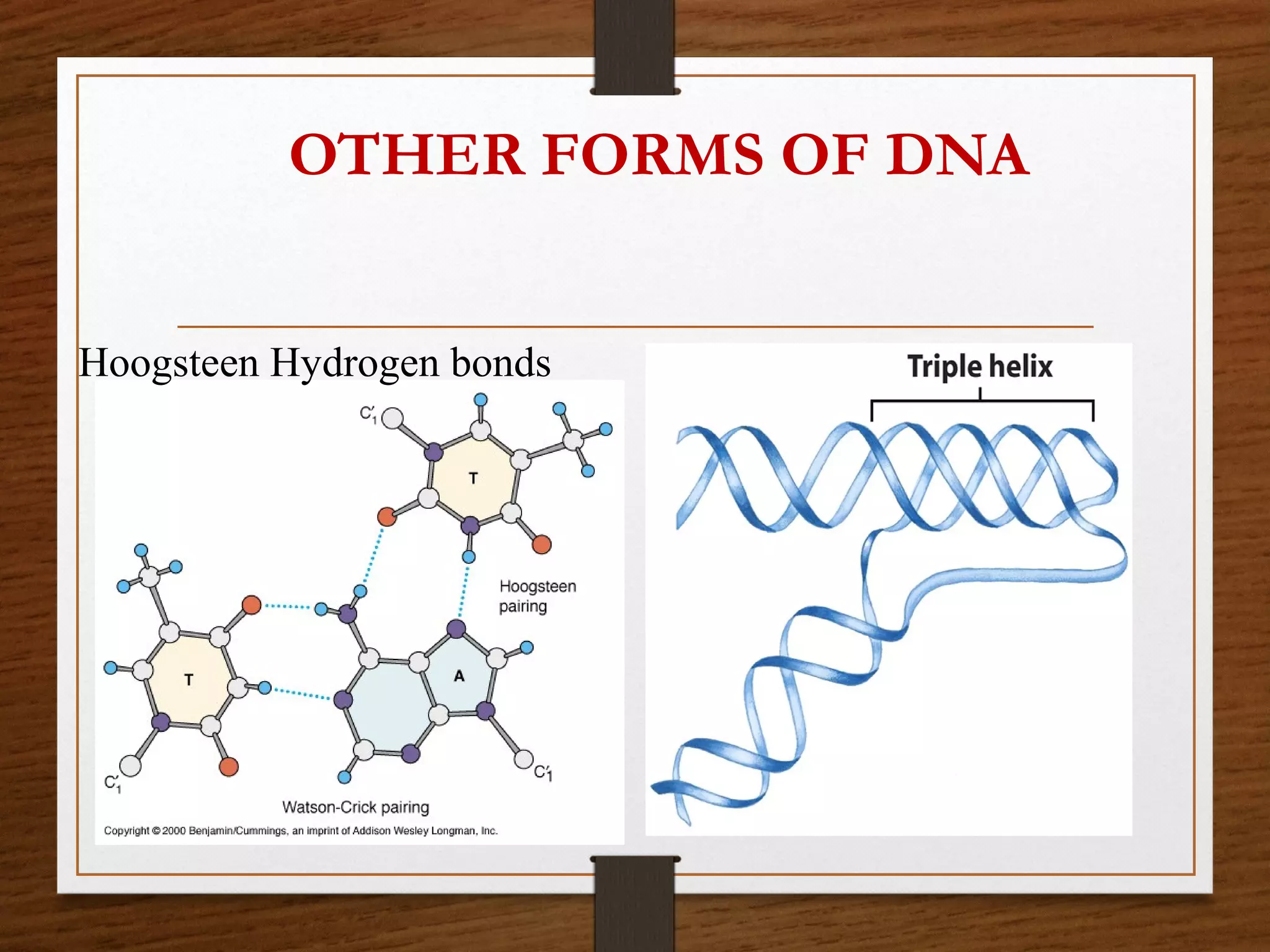 Nucleic acid chemistry | PPT