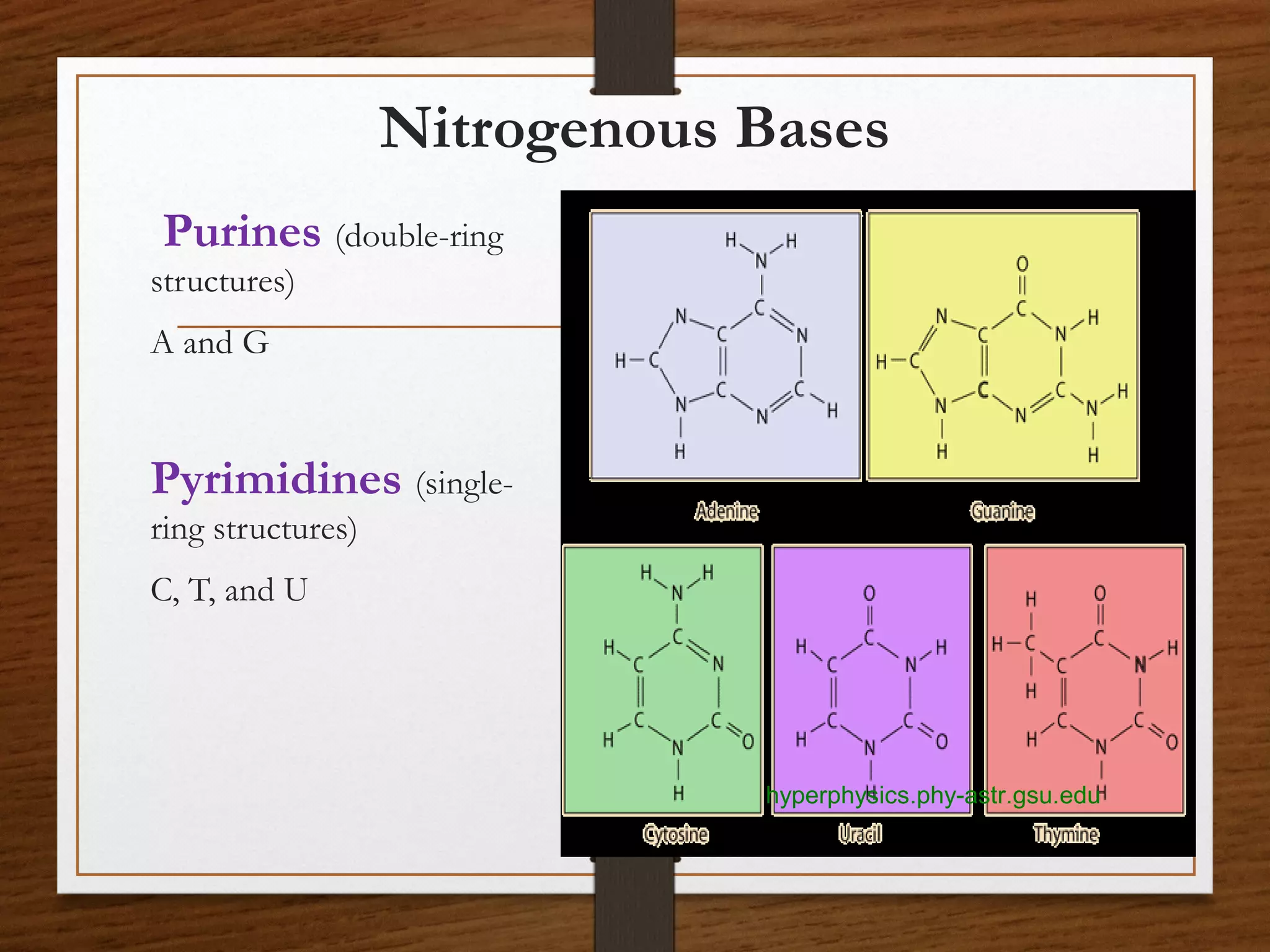 Nucleic acid chemistry | PPT
