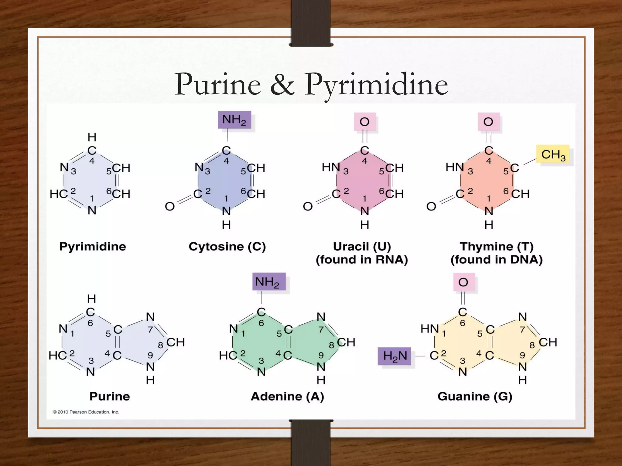 Nucleic acid chemistry | PPT