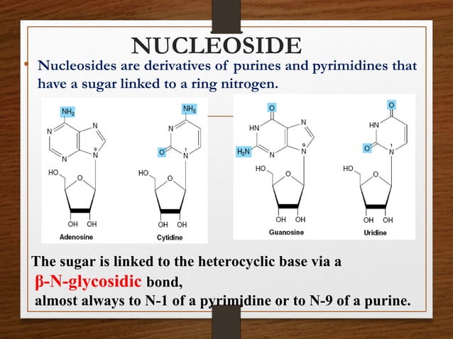 Nucleic acid chemistry | PPT | Chemistry | Science