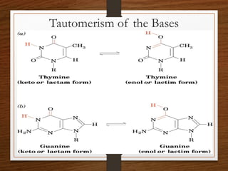 Nucleic acid chemistry | PPT