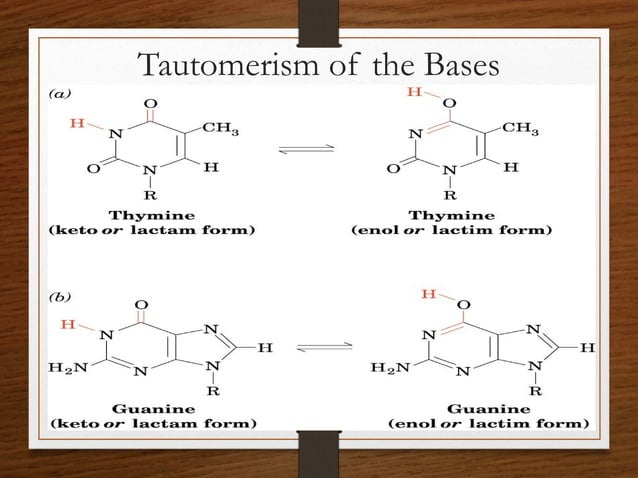 Nucleic acid chemistry | PPT | Chemistry | Science